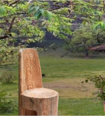 Stubborn Coconut Tree Products – Coconut Farming