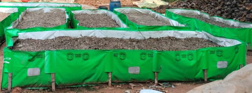 Transforming Waste into Nutrient-Rich Soil: Welcome to Our Vermicompost ...