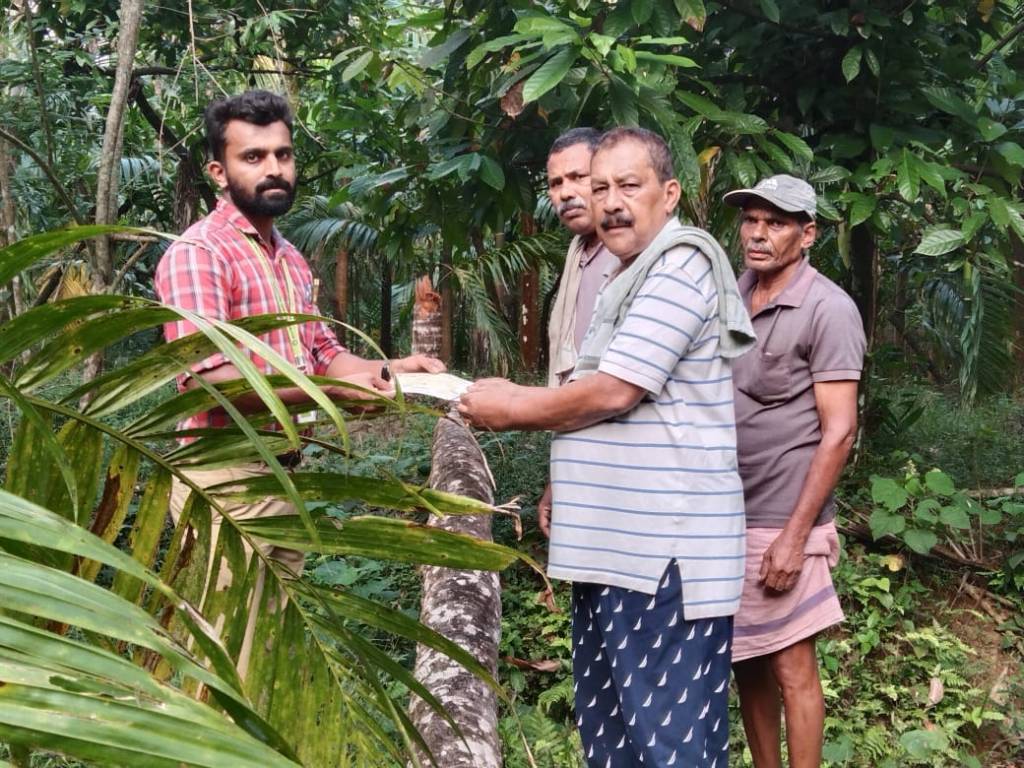 Crop Assurance: Strengthening Agricultural Futures - Coconut Farming